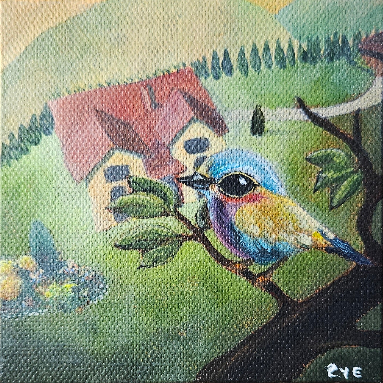 Bird's Eye View by Rye Watts